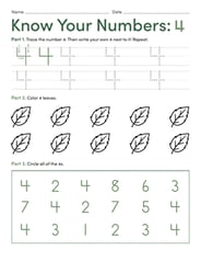 Early Math Skills Worksheets