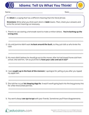 Idiom Worksheet Second Grade Idioms Worksheet 2nd Grade | TPT