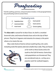 Editing Worksheet 3rd Grade Proofreading And Editing Practice: Summer