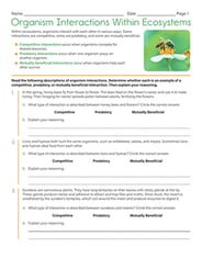 Ecosystem Science Worksheets