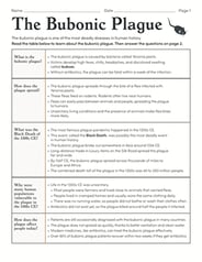 Global History Worksheets World History Worksheets, Lesson Plans