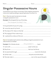 2nd Grade Noun Worksheet Singular And Plural Nouns Worksheets