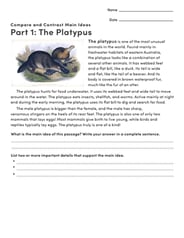 Compare And Contrast Comprehension Worksheets 2nd Grade Compare And