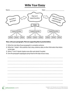 Paragraph Organization Worksheet