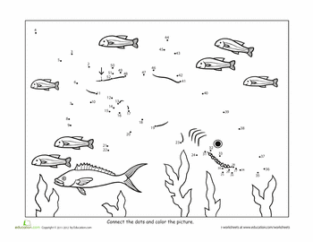 Wild Dot-to-Dot Animals! | Education.com