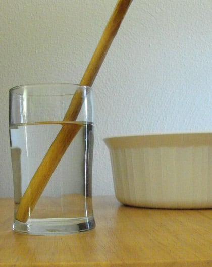 Make Gak: Experiment with Polymers | Activity | Education.com