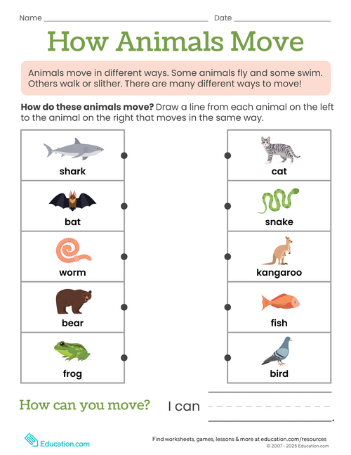 Kindergarten Fall Review Packet - Week 2 | Workbook | Education.com