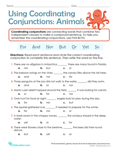 Third Grade Fall Review Packet - Week 4 | Workbook | Education.com