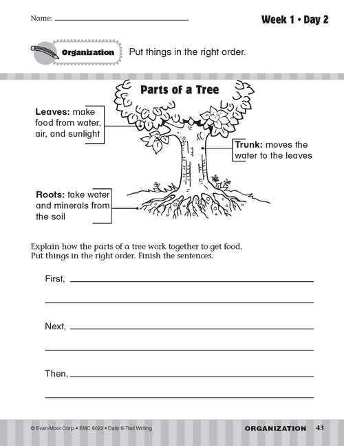Daily 6-Trait Writing, Grade 2: Ideas and Organization | Teacher ...