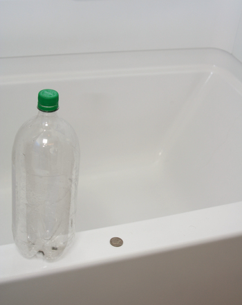 Glass Bottle Vases | Activity | Education.com