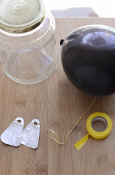 Electroscope Science Project