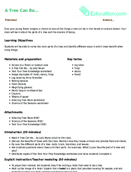 Bake Tree Ring Cookies | Activity | Education.com