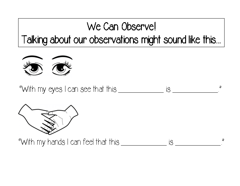 Think Like a Scientist: Observe, Sort, and Classify | Lesson Plan ...