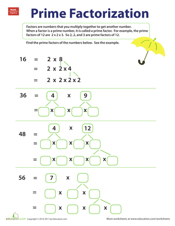 Algebra Adventures | Workbook | Education.com