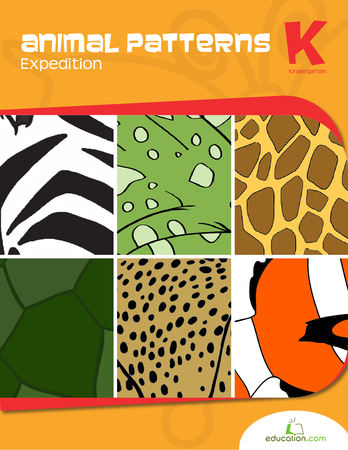 Patterns in Nature | Activity | Education.com