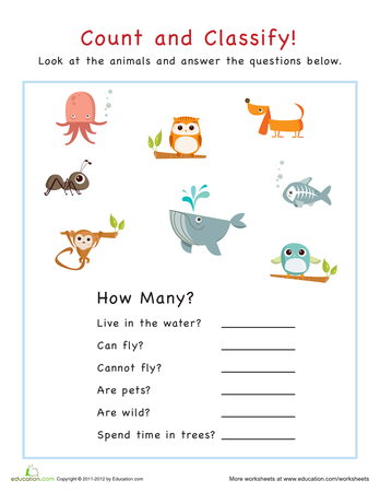 Categorize and Count | Workbook | Education.com