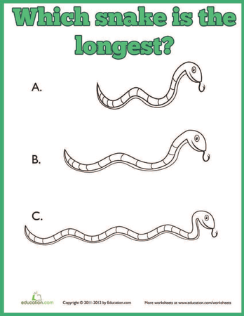 Comparing Sizes | Workbook | Education.com
