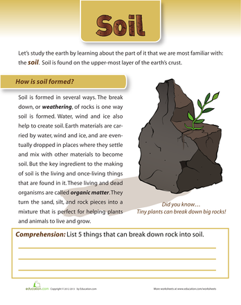 Can You Dig It: Rocks and Soil | Workbook | Education.com