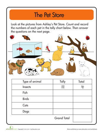 Dive Into Data | Workbook | Education.com