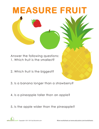 Exploring Data: Sorting and Comparing | Workbook | Education.com