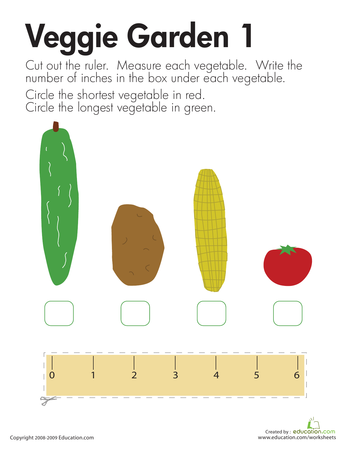 Exploring Measurement | Workbook | Education.com