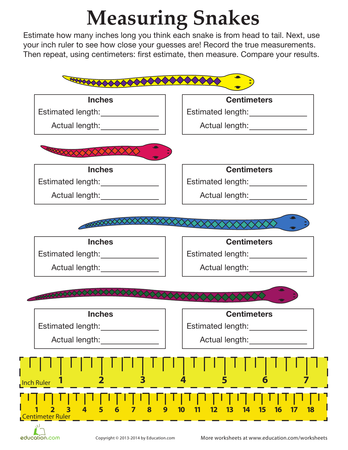 Inch by Inch | Workbook | Education.com