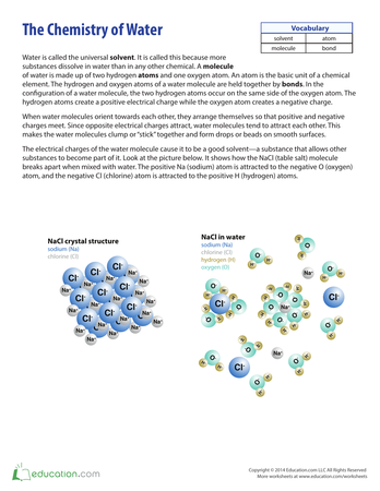 Intro to H2O | Workbook | Education.com