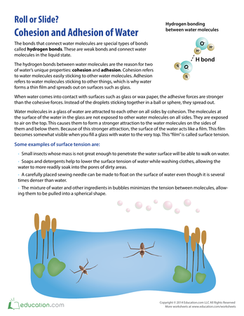 Intro to H2O | Workbook | Education.com