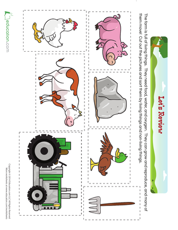 Living and Non-Living Things: Math on the Farm | Workbook | Education.com