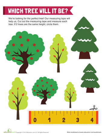 Measure It | Workbook | Education.com