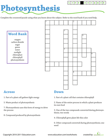 Science Vocabulary Expanders | Workbook | Education.com