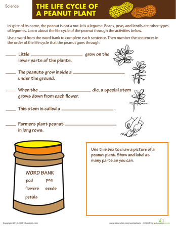Science Vocabulary Expanders | Workbook | Education.com