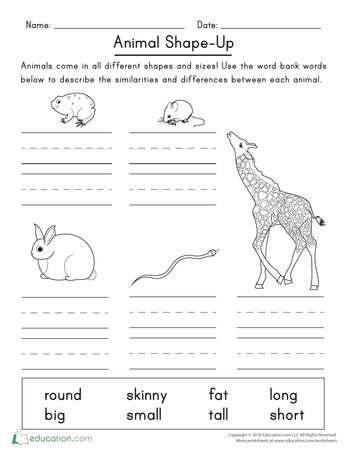 Shape, Texture, Size, and Color: Exploring Attributes | Workbook ...