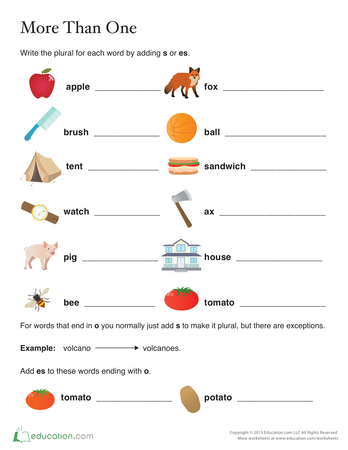 Spelling Patterns: Endings | Workbook | Education.com