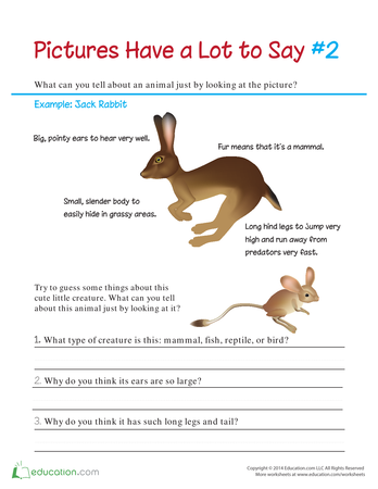 Text Detective: Weird Animals | Workbook | Education.com