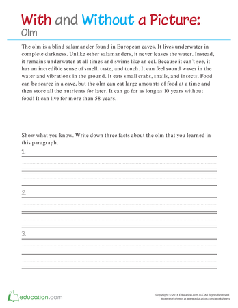 Text Detective: Weird Animals | Workbook | Education.com