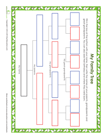 Tracing Your Roots: Genealogy | Workbook | Education.com