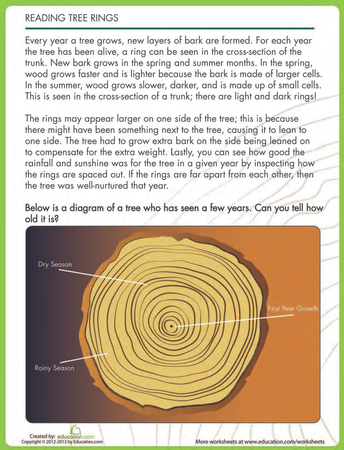Tree-mendous Trees | Workbook | Education.com