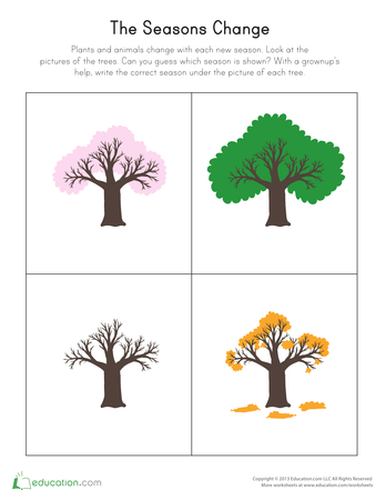Weather & Seasons | Workbook | Education.com
