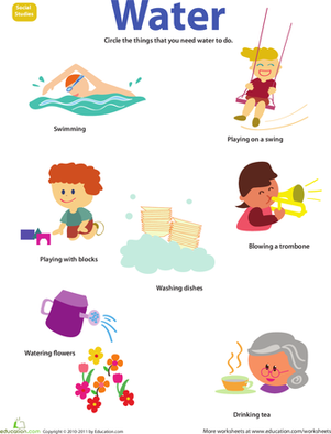 Learning about Land and Water | Activity | Education.com