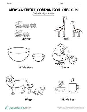 Hands-On Measurement! | Activity | Education.com