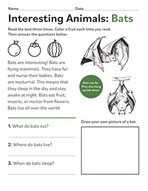 Halloween Bats | Activity | Education.com