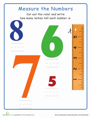 Measure Numbers 5 to 8 | Worksheet | Education.com