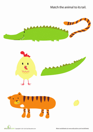 Make a Mixed Up Animal Collage | Activity | Education.com