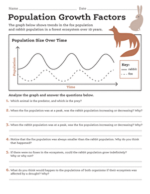 Population Growth Factors | Worksheet | Education.com