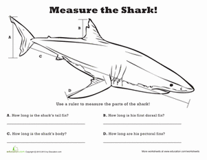 Household Measurements | Activity | Education.com