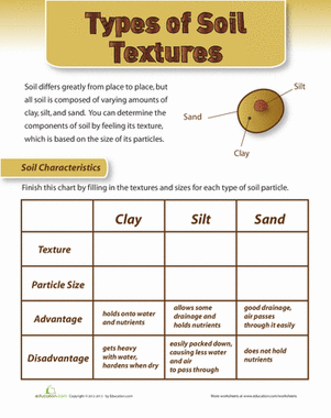 Texture Painting | Activity | Education.com
