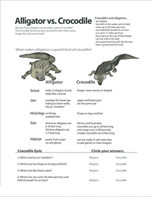 Alligator vs. Crocodile | Worksheet | Education.com