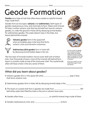 Fossils and Coal Formation | Activity | Education.com